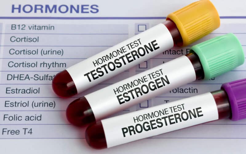 menoelle® PLUS - Tabletten mit EstroG-100® und Safran